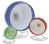 10 Things Your New Hamster Needs – AnimalWhoop